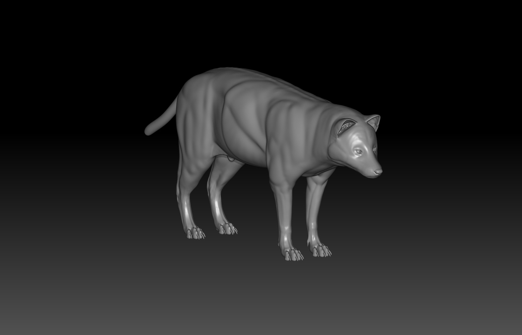 Raccoon Dog Tanuki 3D Model - TurboSquid 2000606