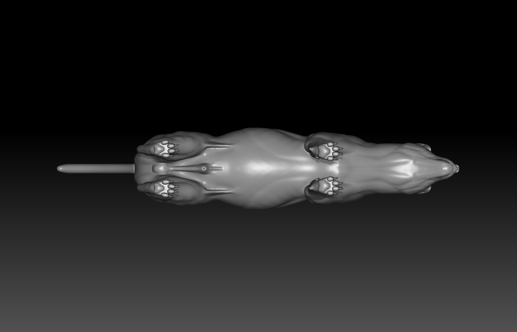 Raccoon Dog Tanuki 3D Model - TurboSquid 2000606