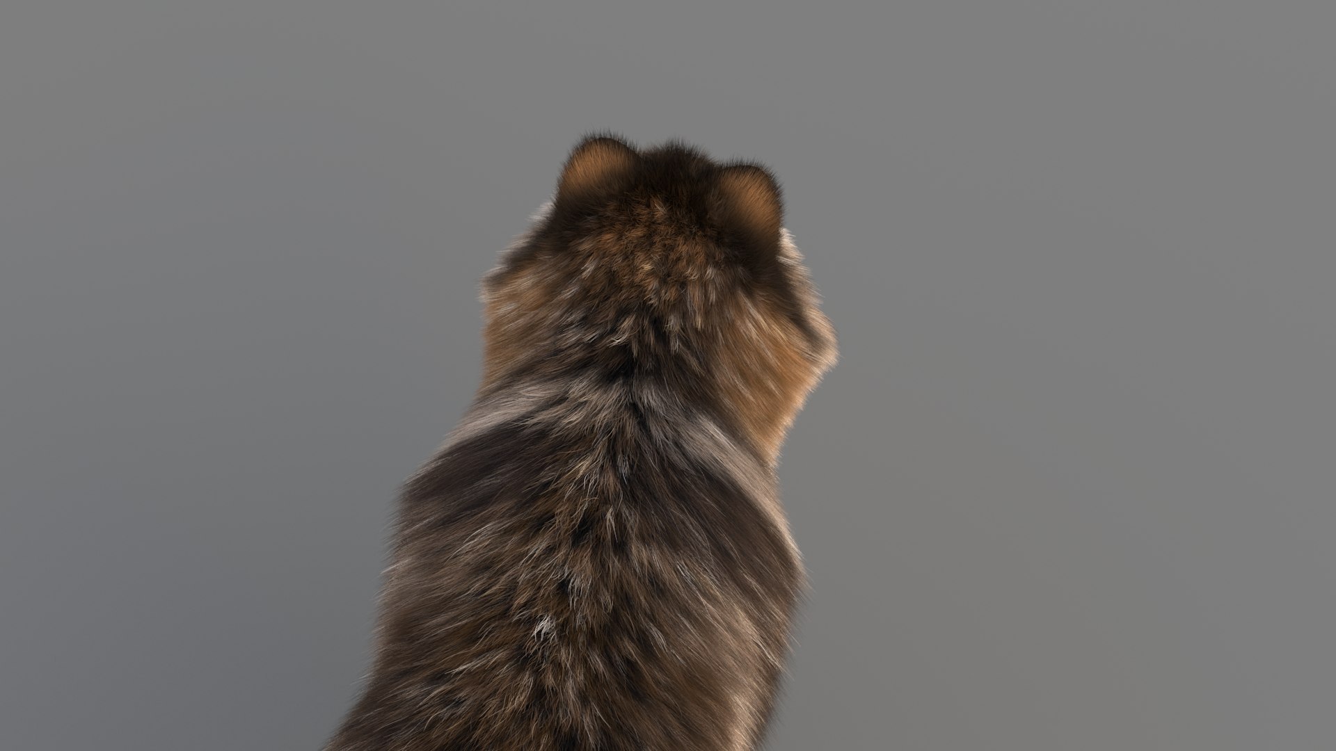 Raccoon Dog Tanuki 3D Model - TurboSquid 2000606