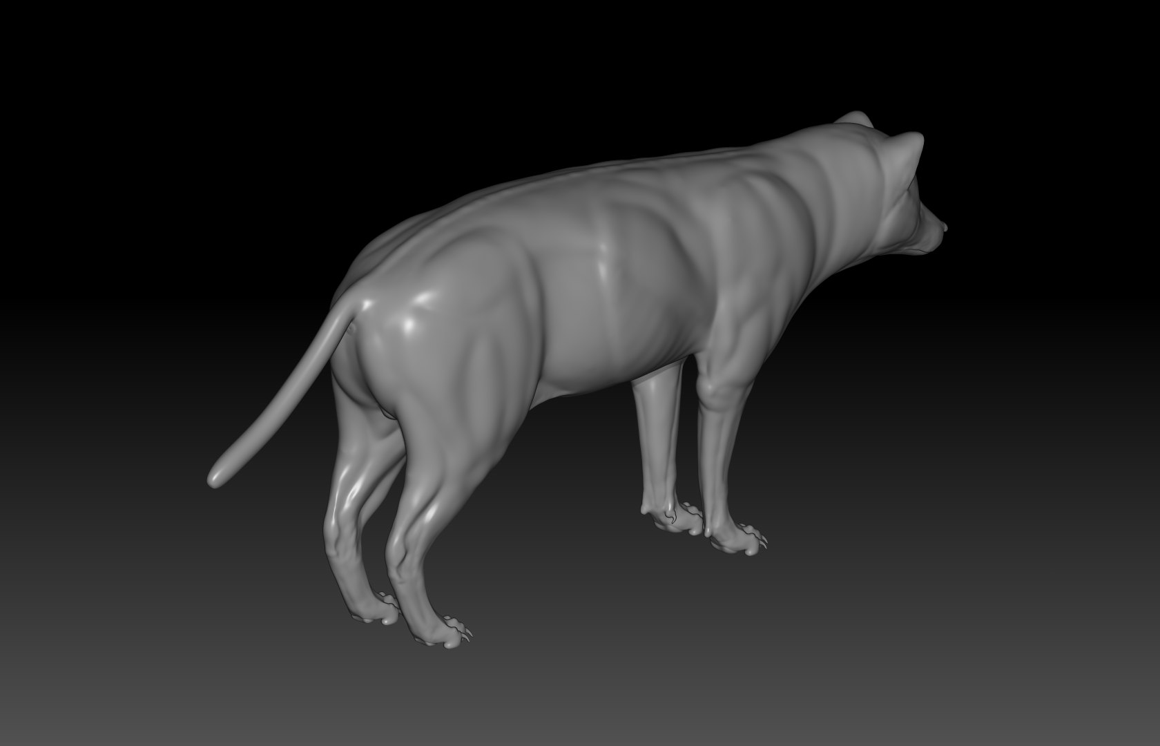 Raccoon Dog Tanuki 3D Model - TurboSquid 2000606