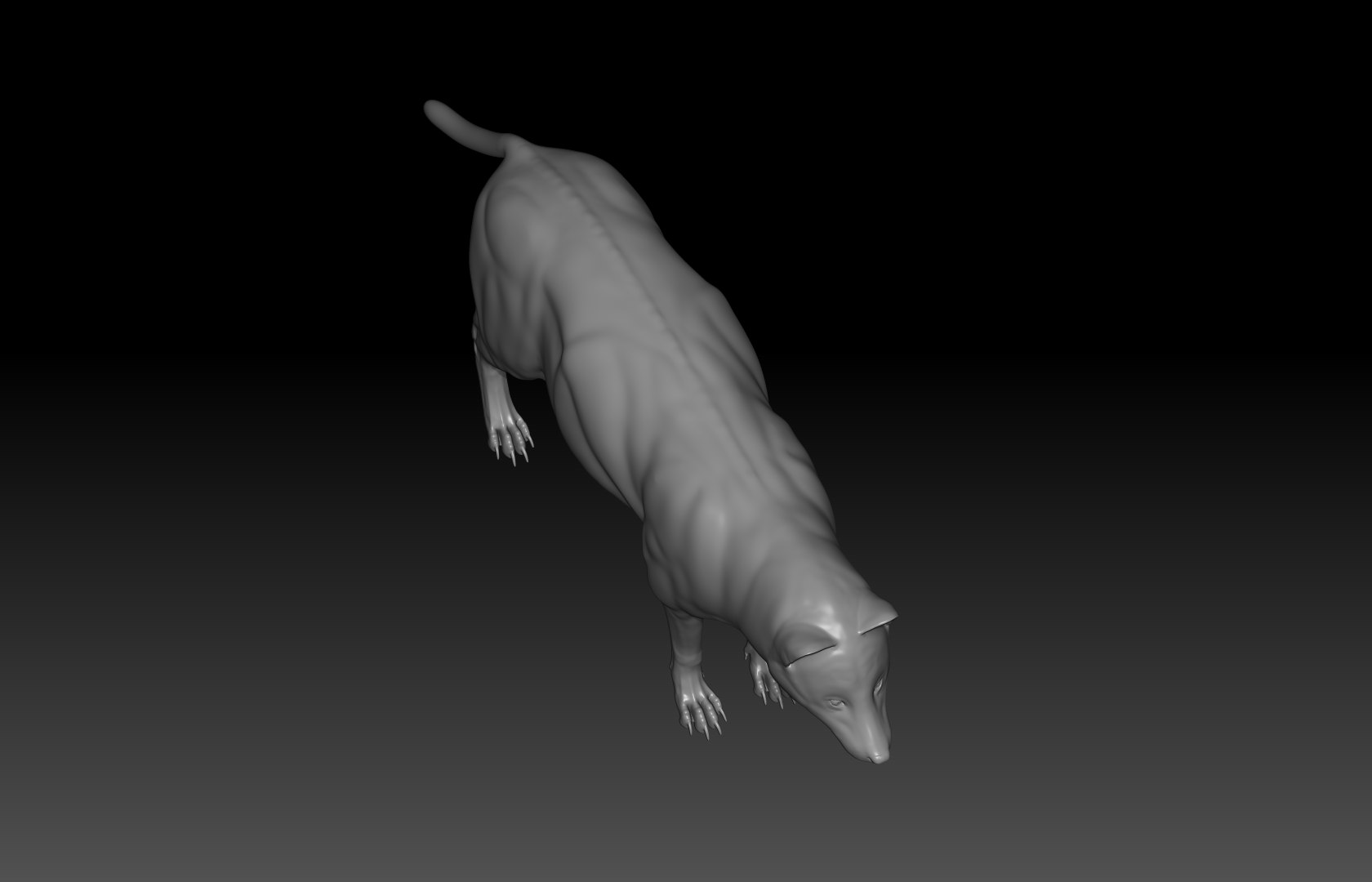 Raccoon Dog Tanuki 3D Model - TurboSquid 2000606