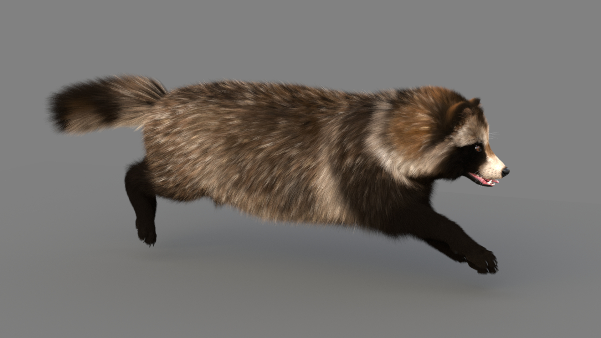 Raccoon Dog Tanuki 3D Model - TurboSquid 2000606