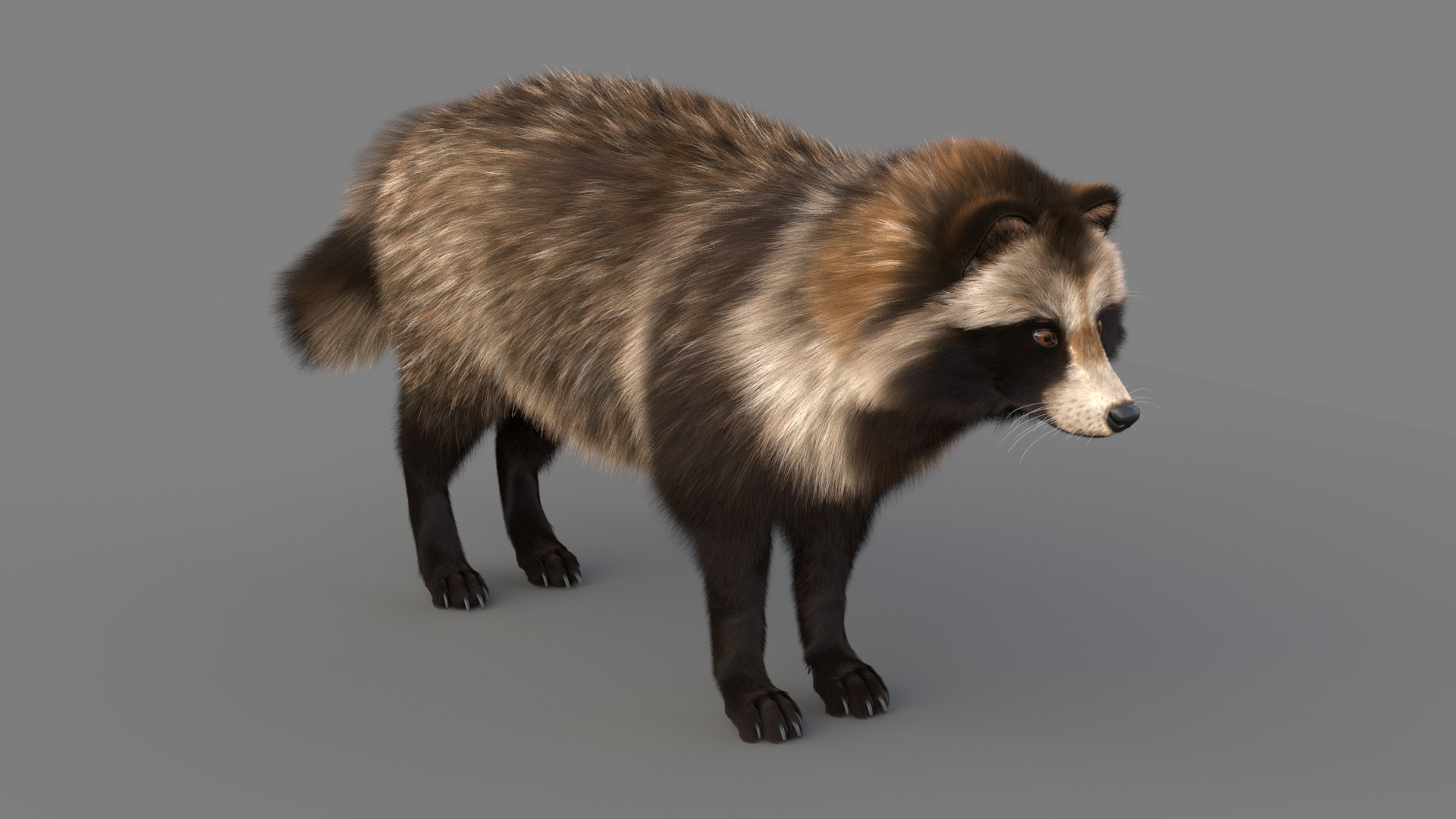 Raccoon Dog Tanuki 3D Model - TurboSquid 2000606
