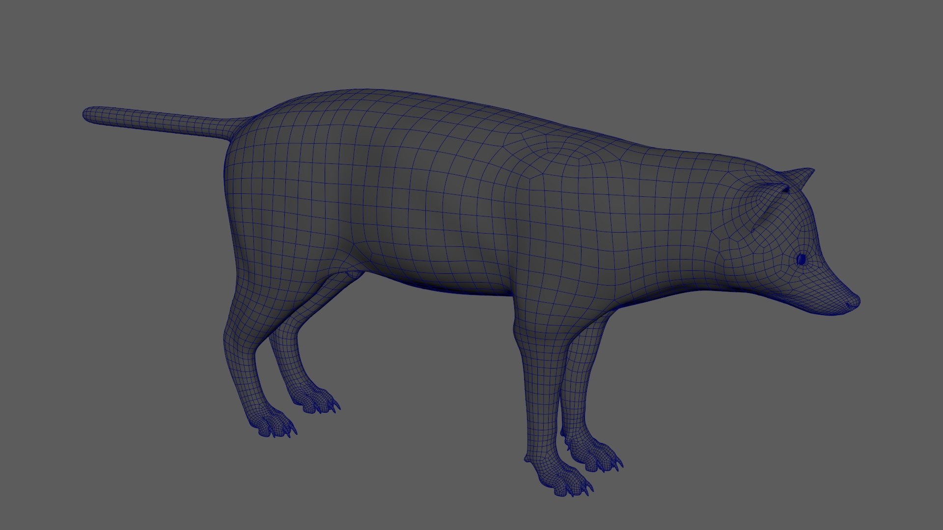 Raccoon Dog Tanuki 3D Model - TurboSquid 2000606