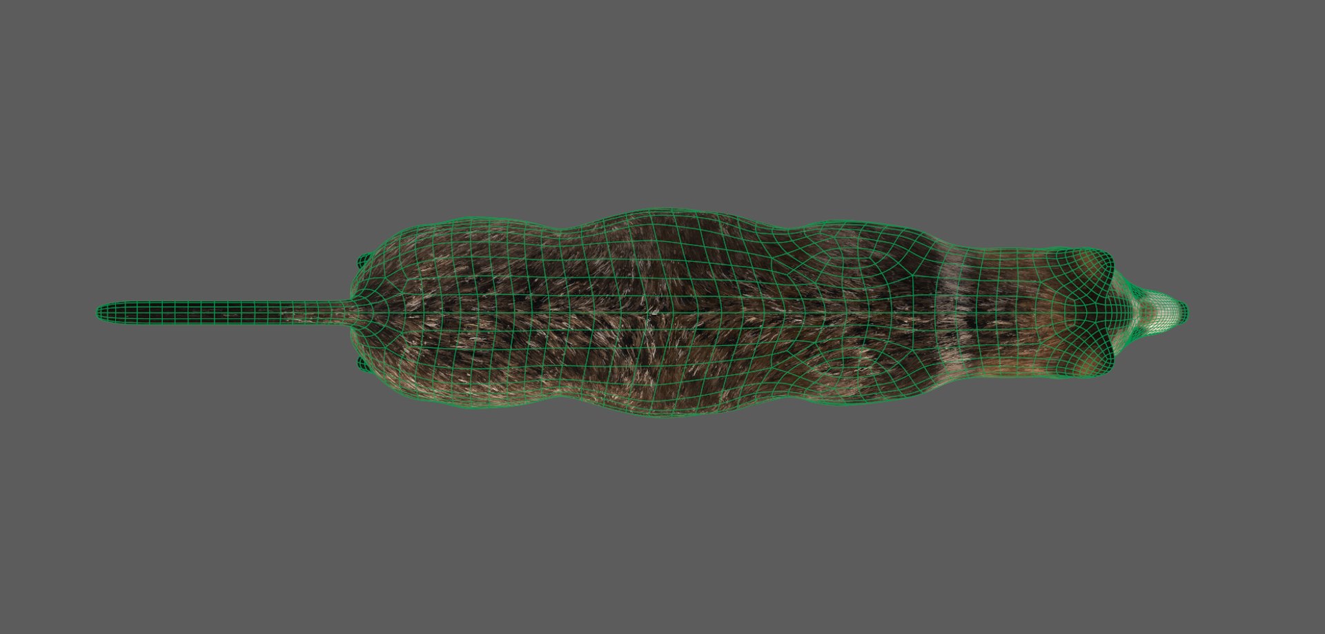 Raccoon Dog Tanuki 3D Model - TurboSquid 2000606