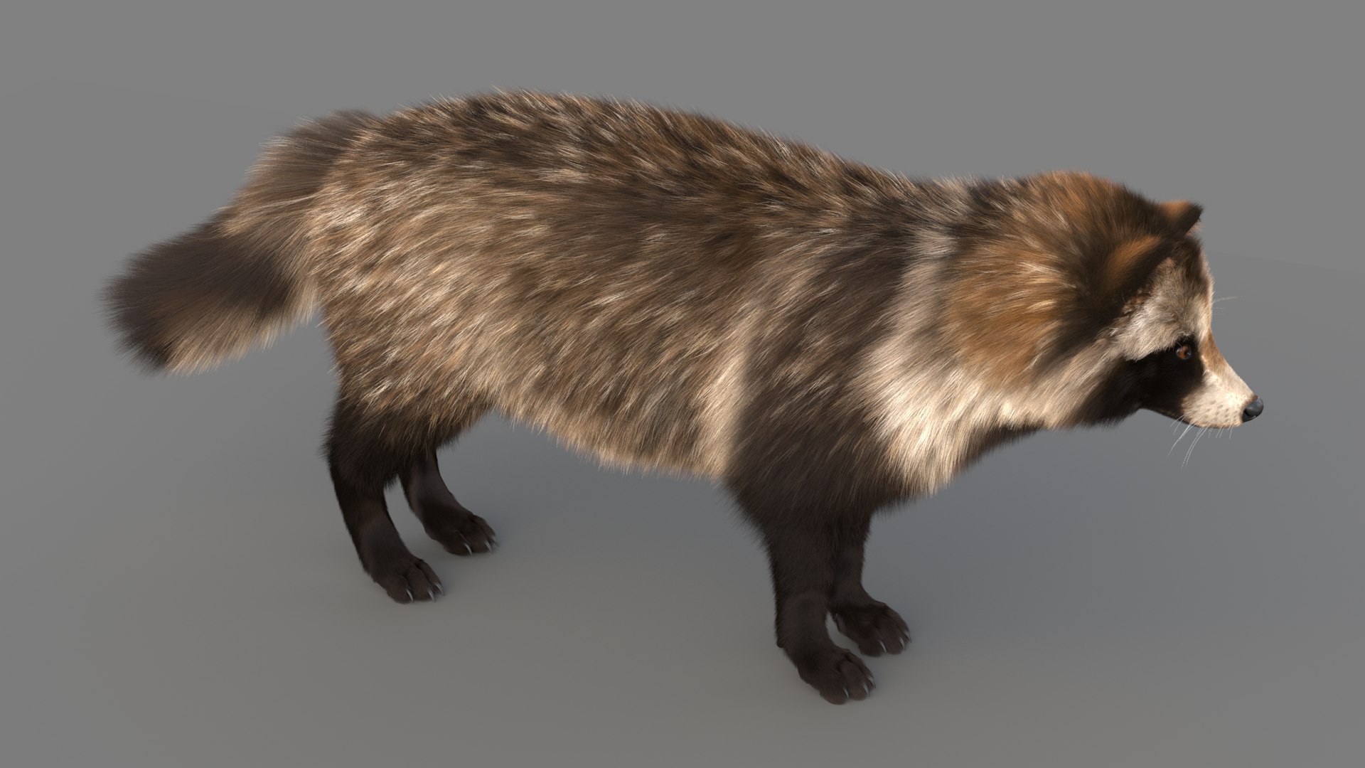Raccoon Dog Tanuki 3D Model - TurboSquid 2000606