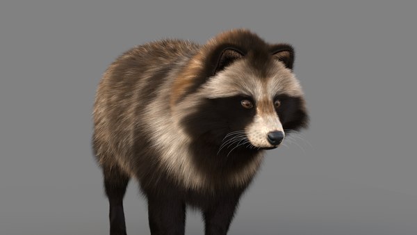 modelo 3d Perro Mapache Tanuki - TurboSquid 2000606
