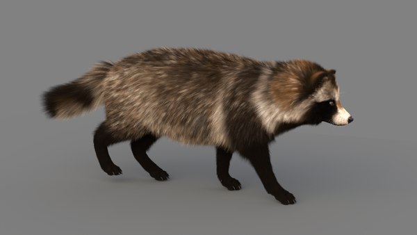 modelo 3d Perro Mapache Tanuki - TurboSquid 2000606