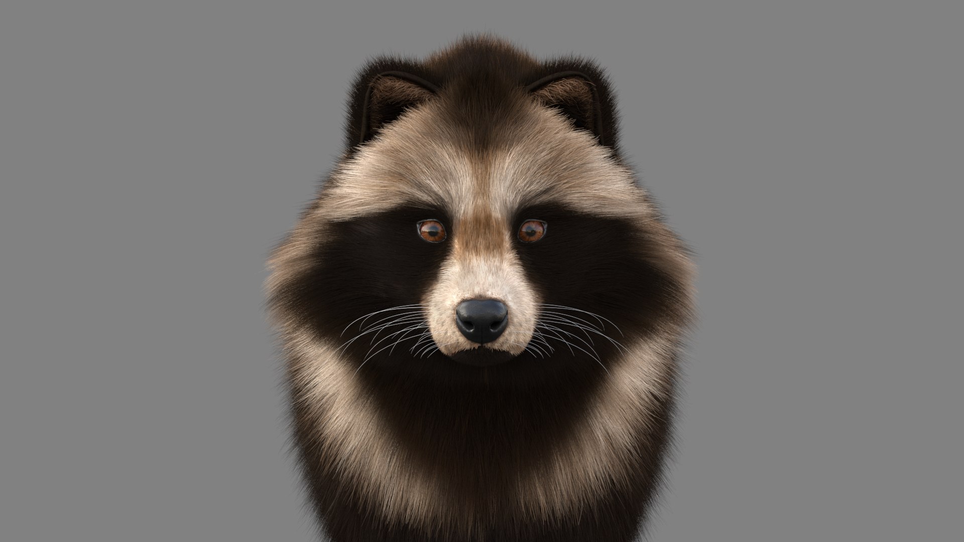 Raccoon Dog Tanuki 3D Model - TurboSquid 2000606