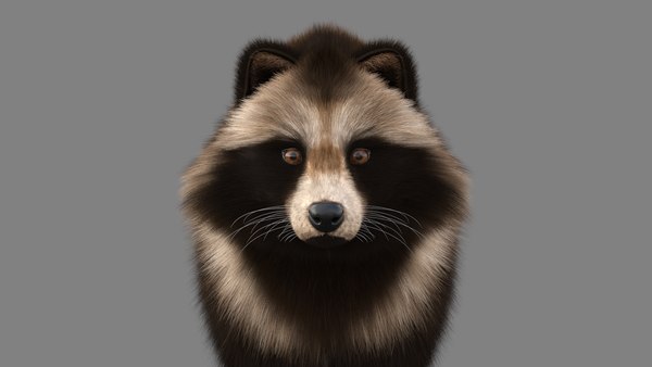 modelo 3d Perro Mapache Tanuki - TurboSquid 2000606