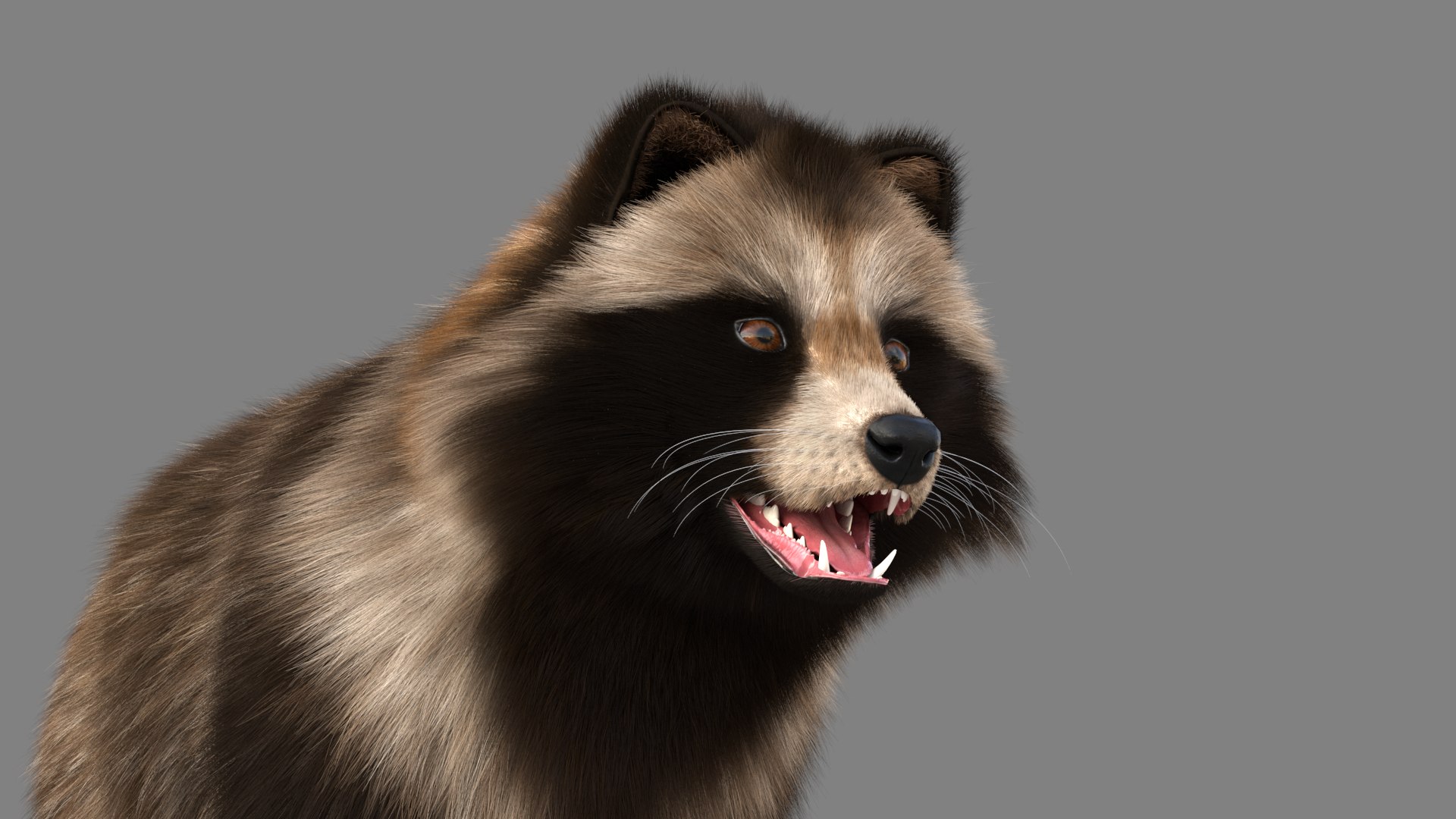 Raccoon Dog Tanuki 3D Model - TurboSquid 2000606