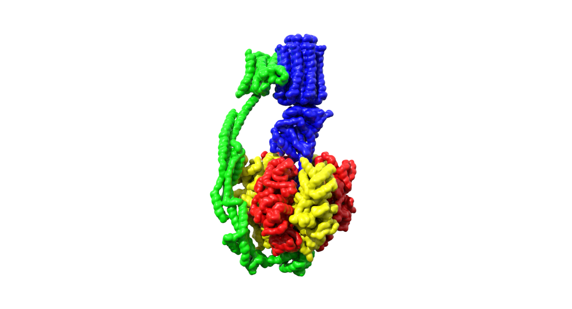 atp molecule 3d