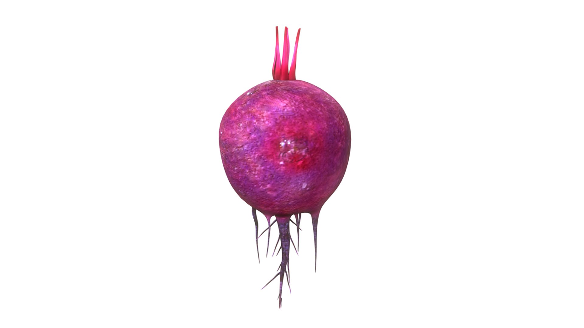3d beetroot beet root