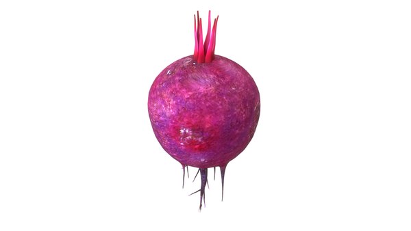 3d beetroot beet root