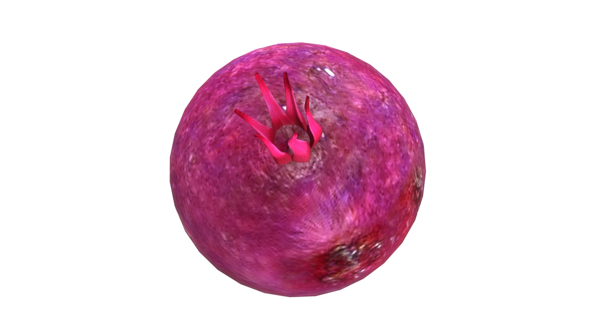 3d beetroot beet root