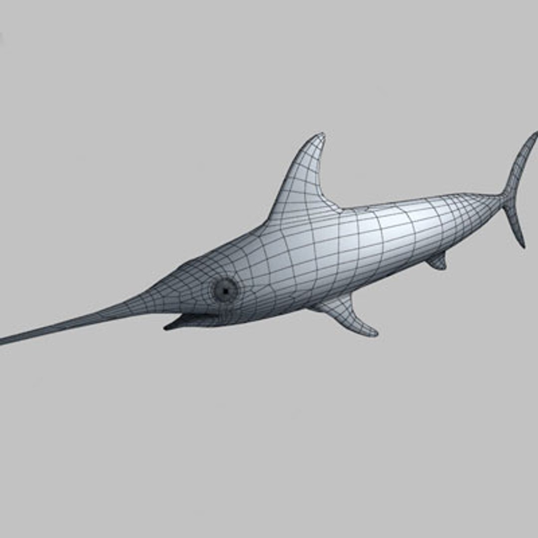 3d Swordfish Fish Model