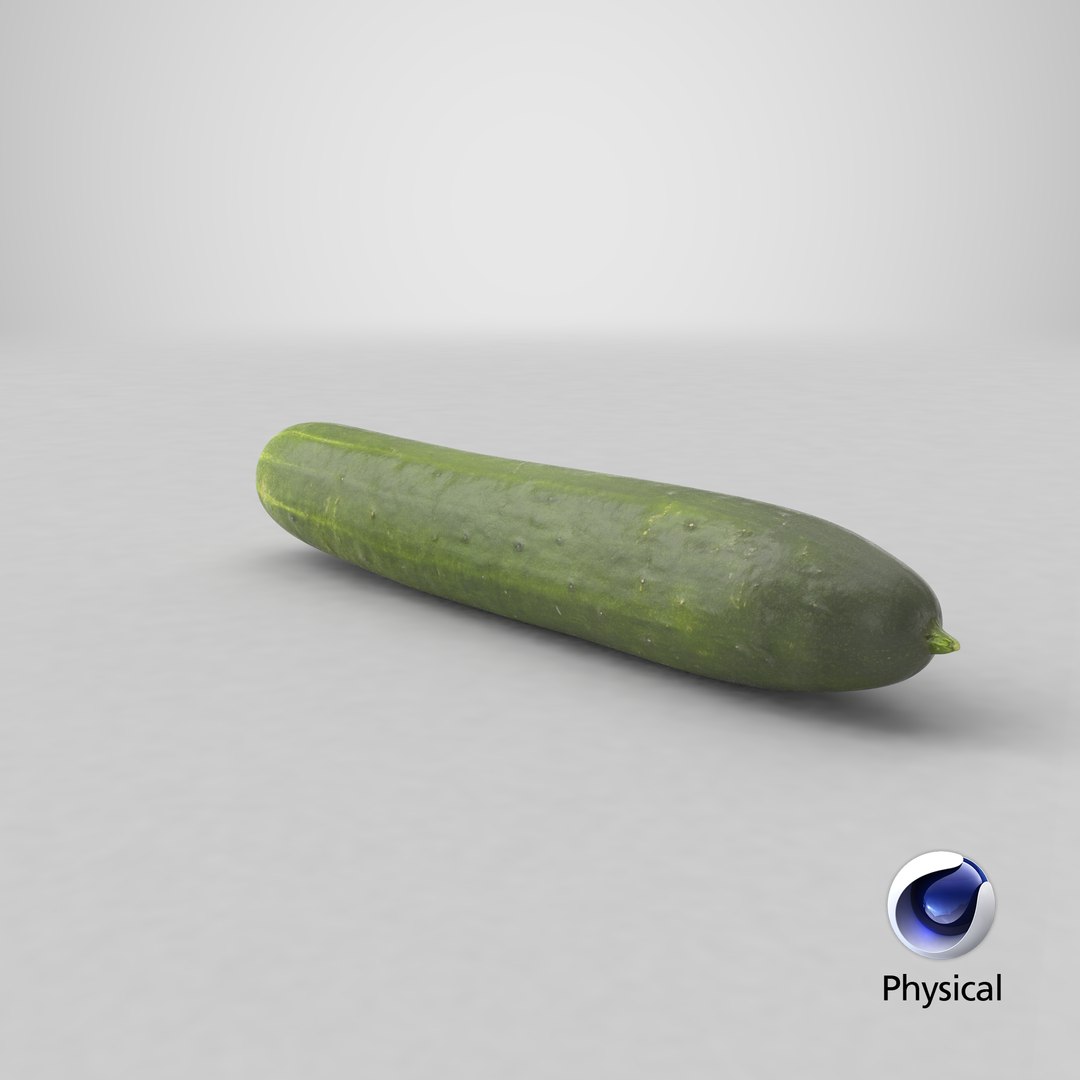 Cucumber 03 3D model - TurboSquid 1449333
