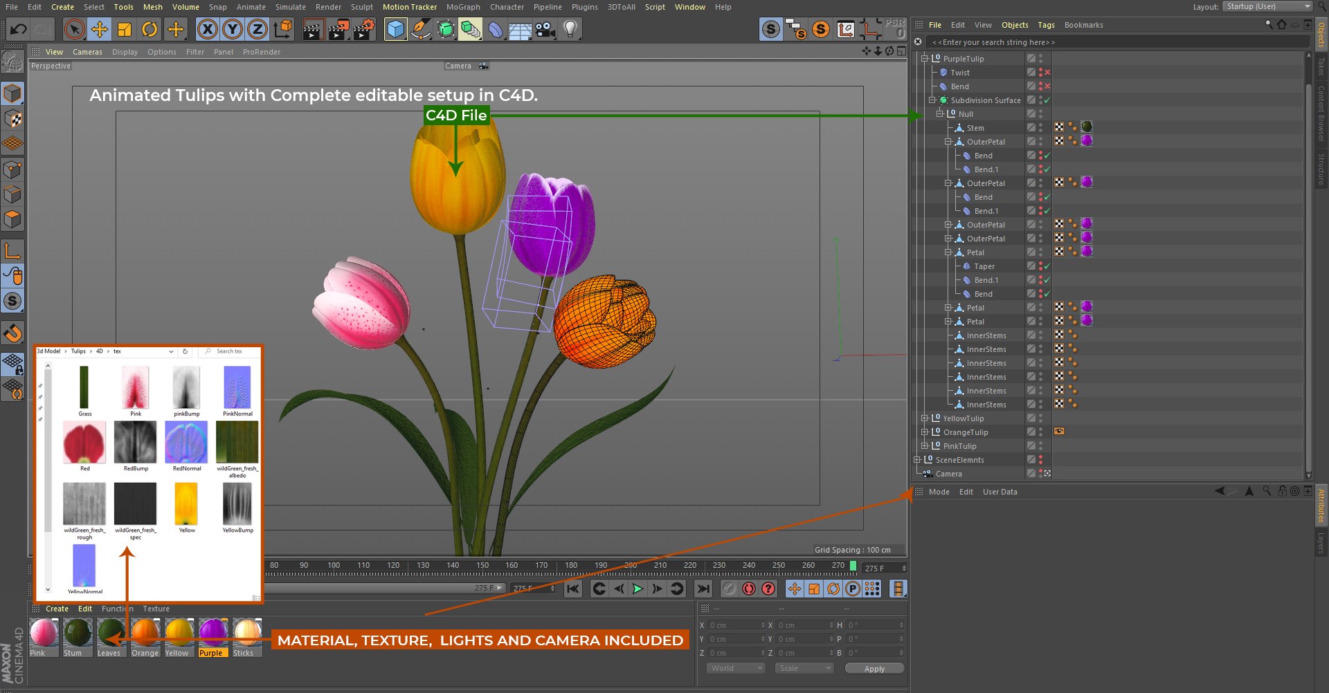 3D Tulips Flowers Animated - TurboSquid 1944276