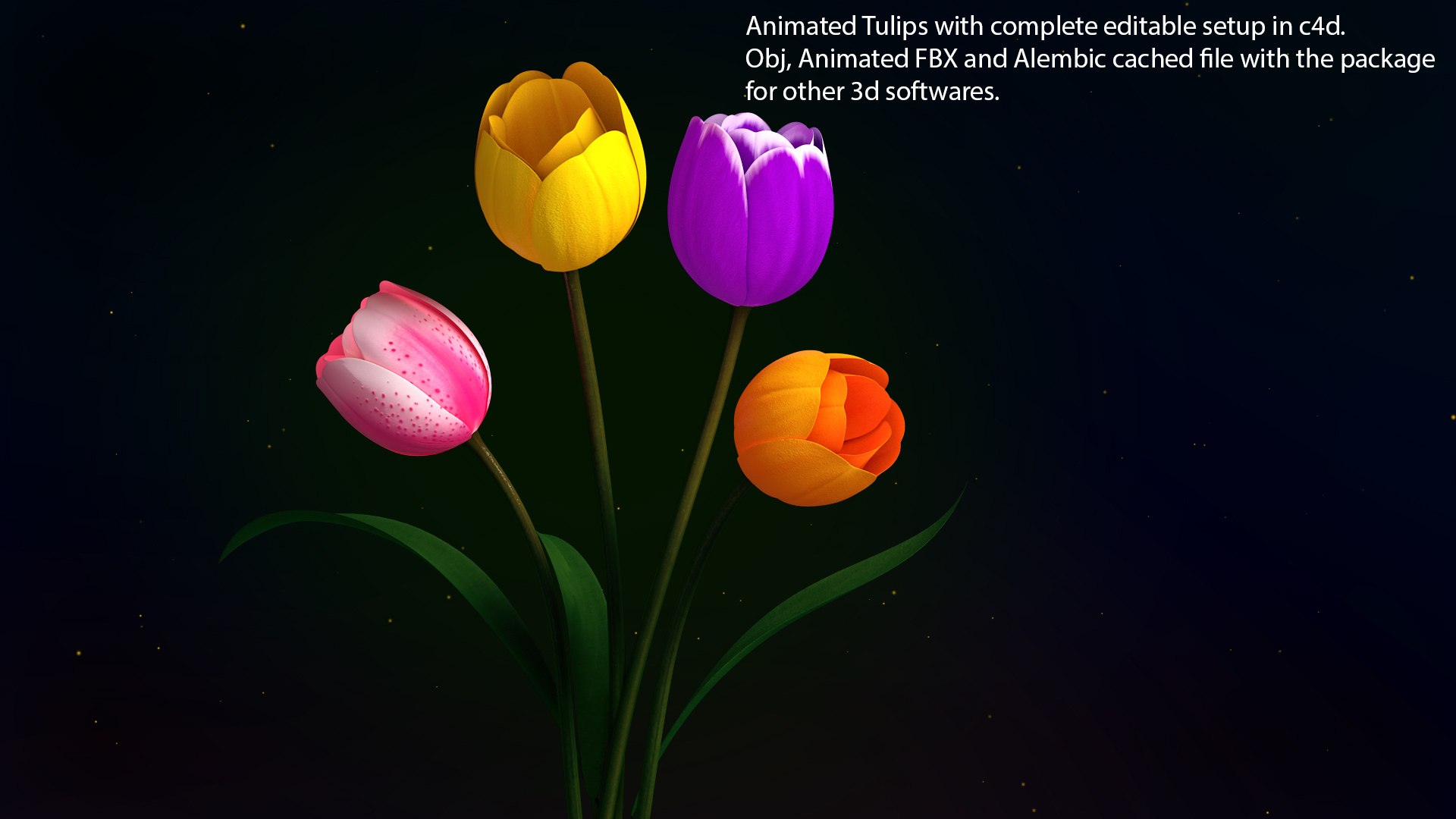 3D Tulips Flowers Animated - TurboSquid 1944276