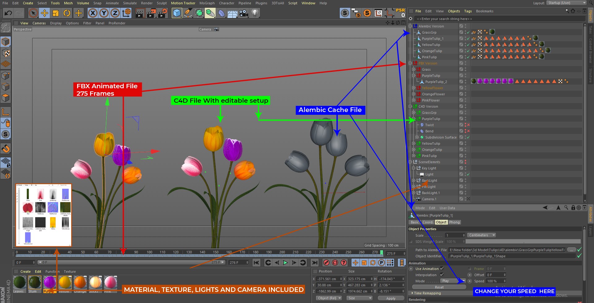 3D Tulips Flowers Animated - TurboSquid 1944276