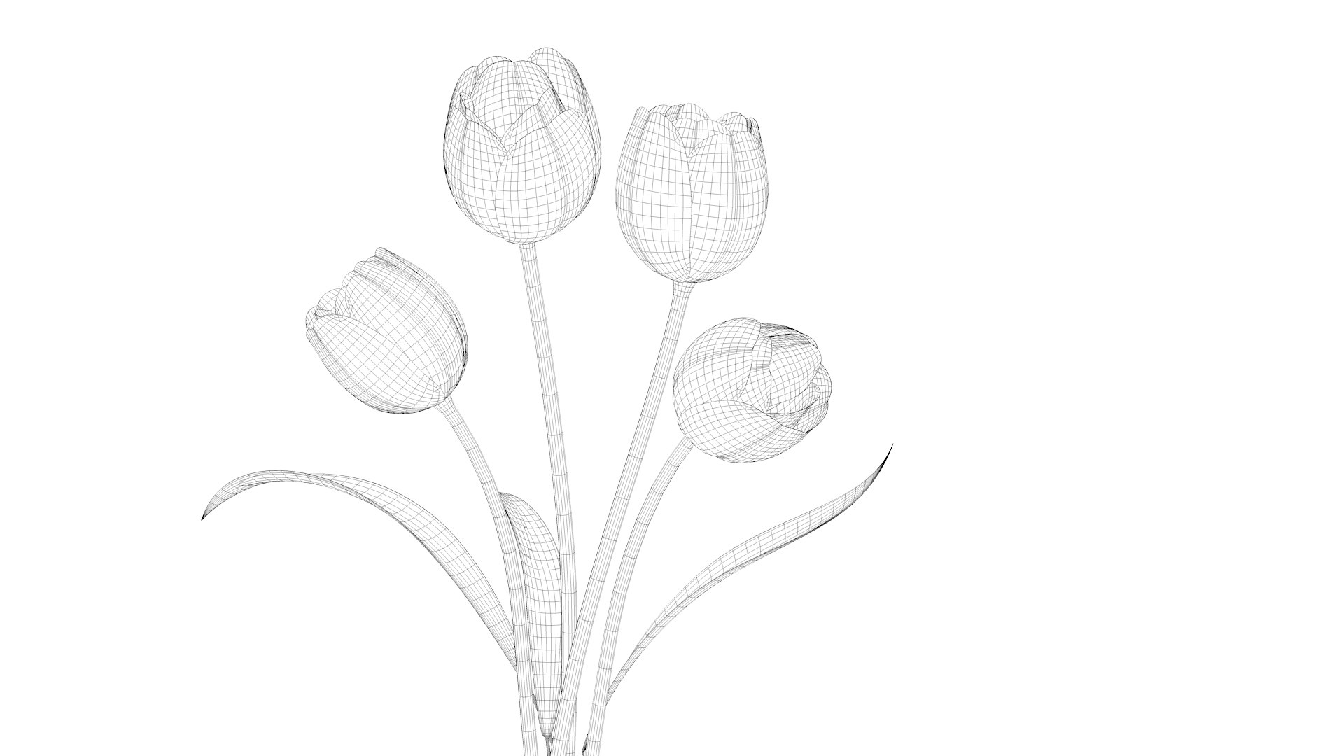 3D Tulips Flowers Animated - TurboSquid 1944276