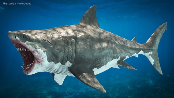 3D Megalodon Rigged model - TurboSquid 1752797