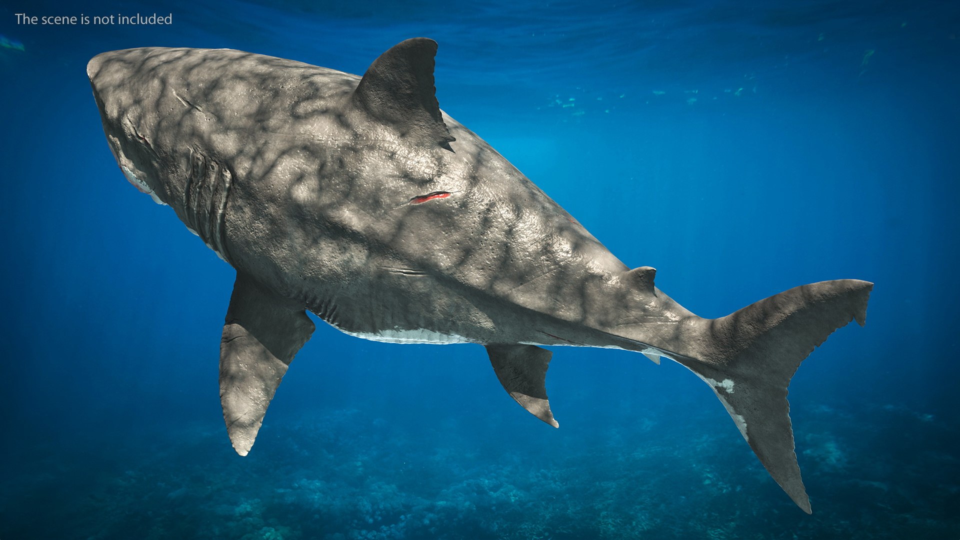3D Megalodon Rigged model - TurboSquid 1752797