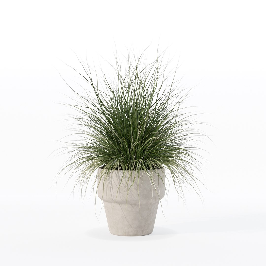 3D Grass In Big Flower Pot - TurboSquid 2186779