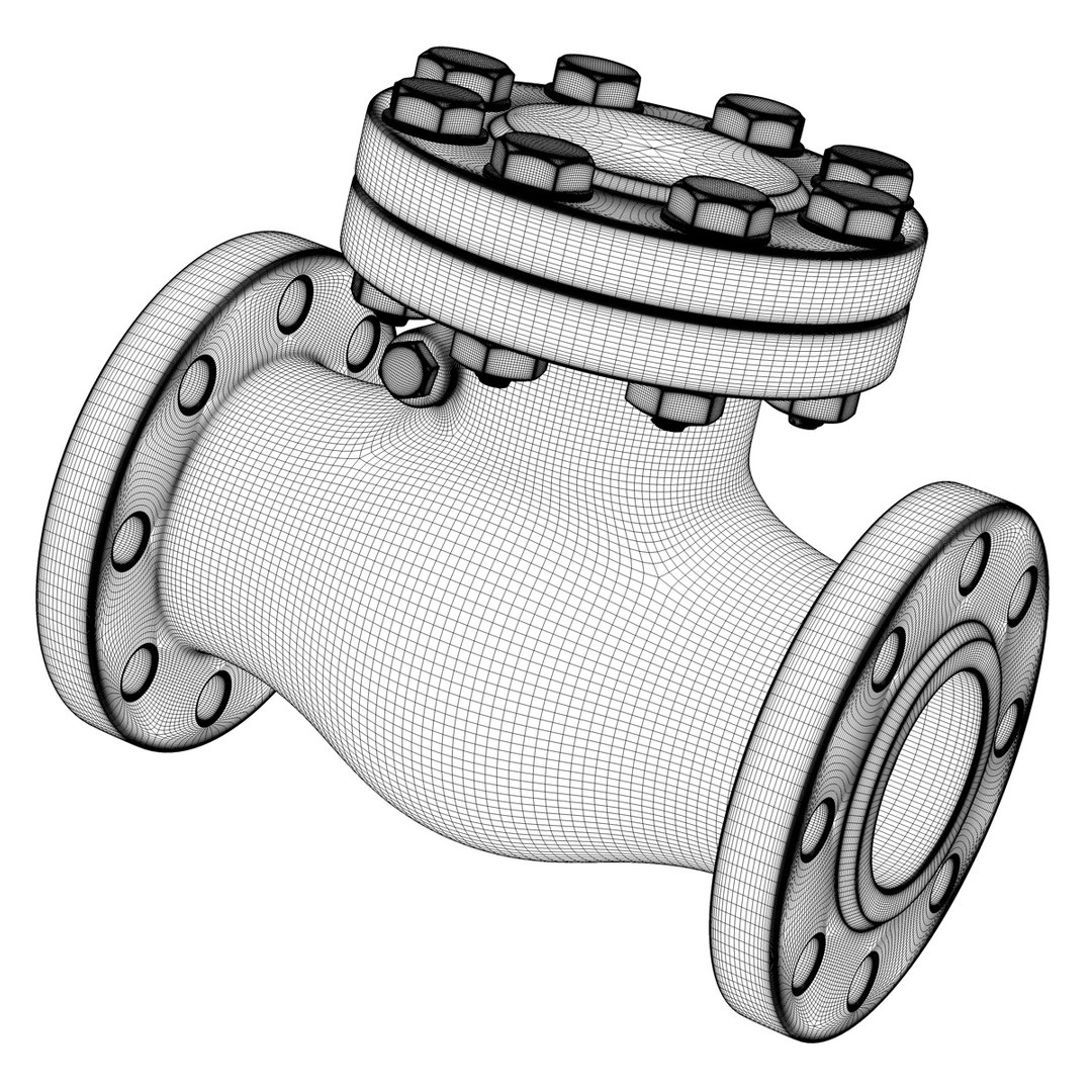 3D Model Check Valve | 1144843 | TurboSquid
