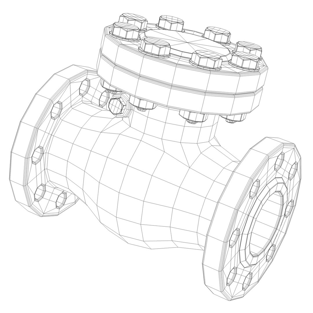 3D Model Check Valve | 1144843 | TurboSquid