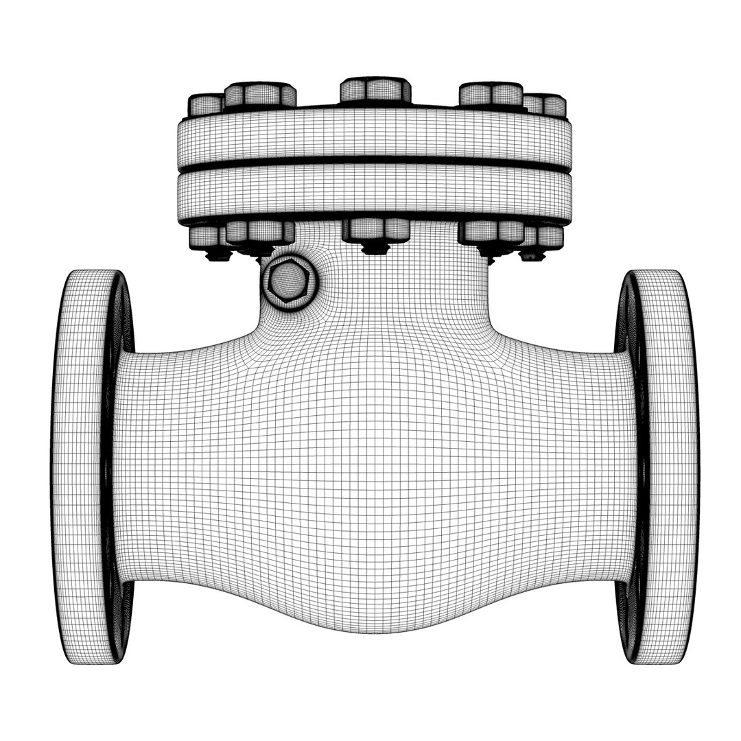 3D Model Check Valve | 1144843 | TurboSquid