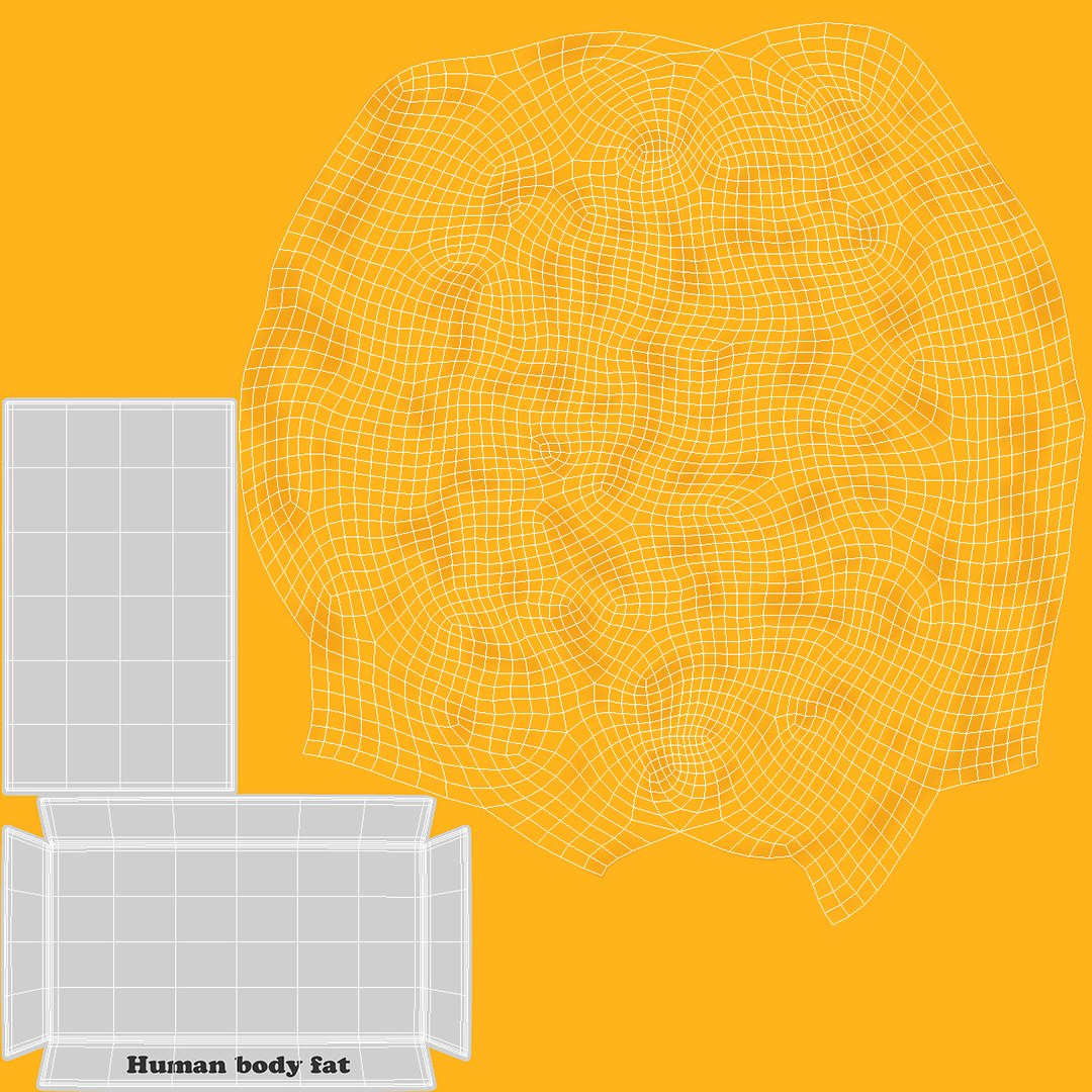 Human Body Fat Mass Model On Base 3D Model - TurboSquid 2412655