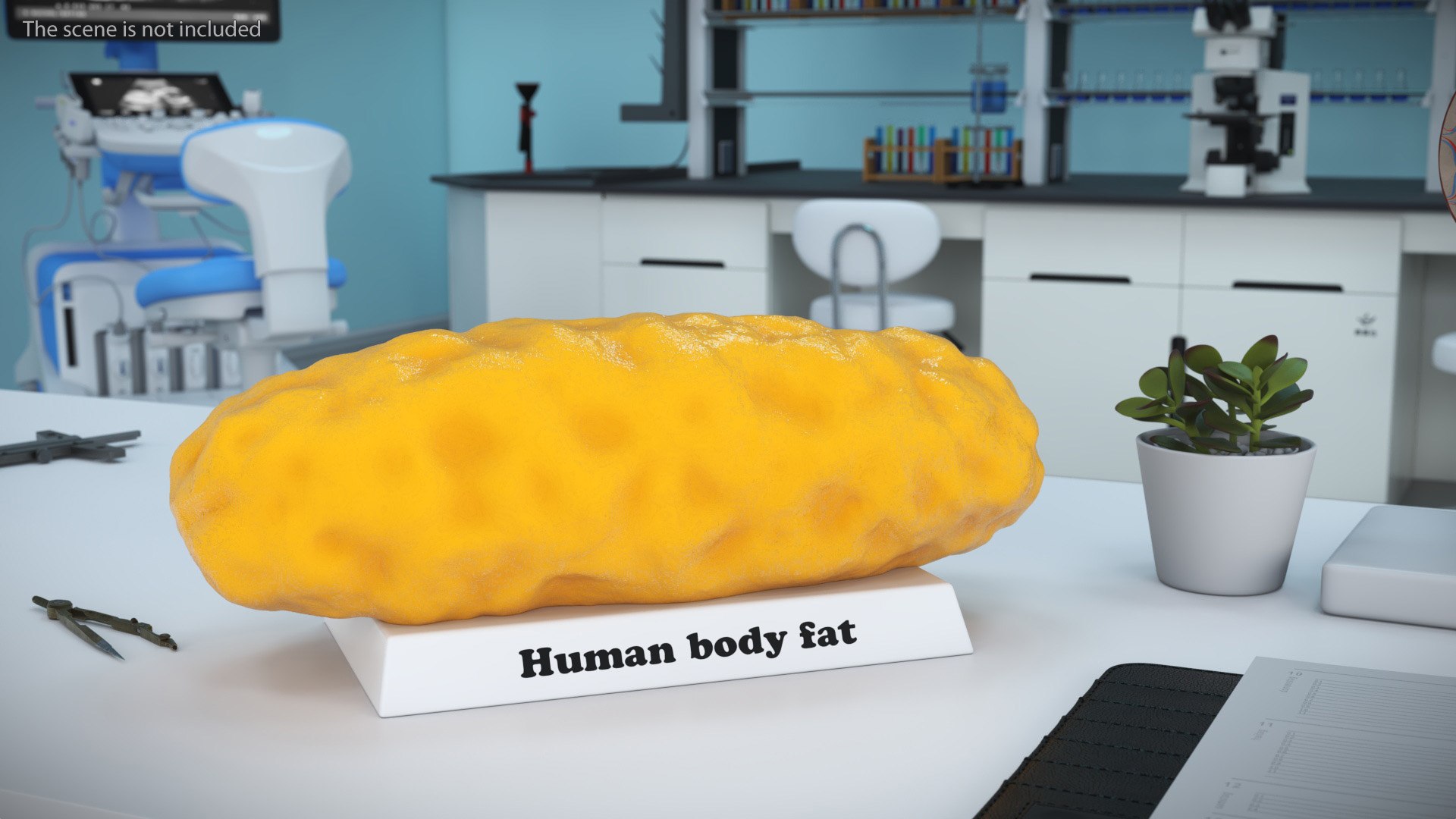 Human Body Fat Mass Model On Base 3D Model - TurboSquid 2412655