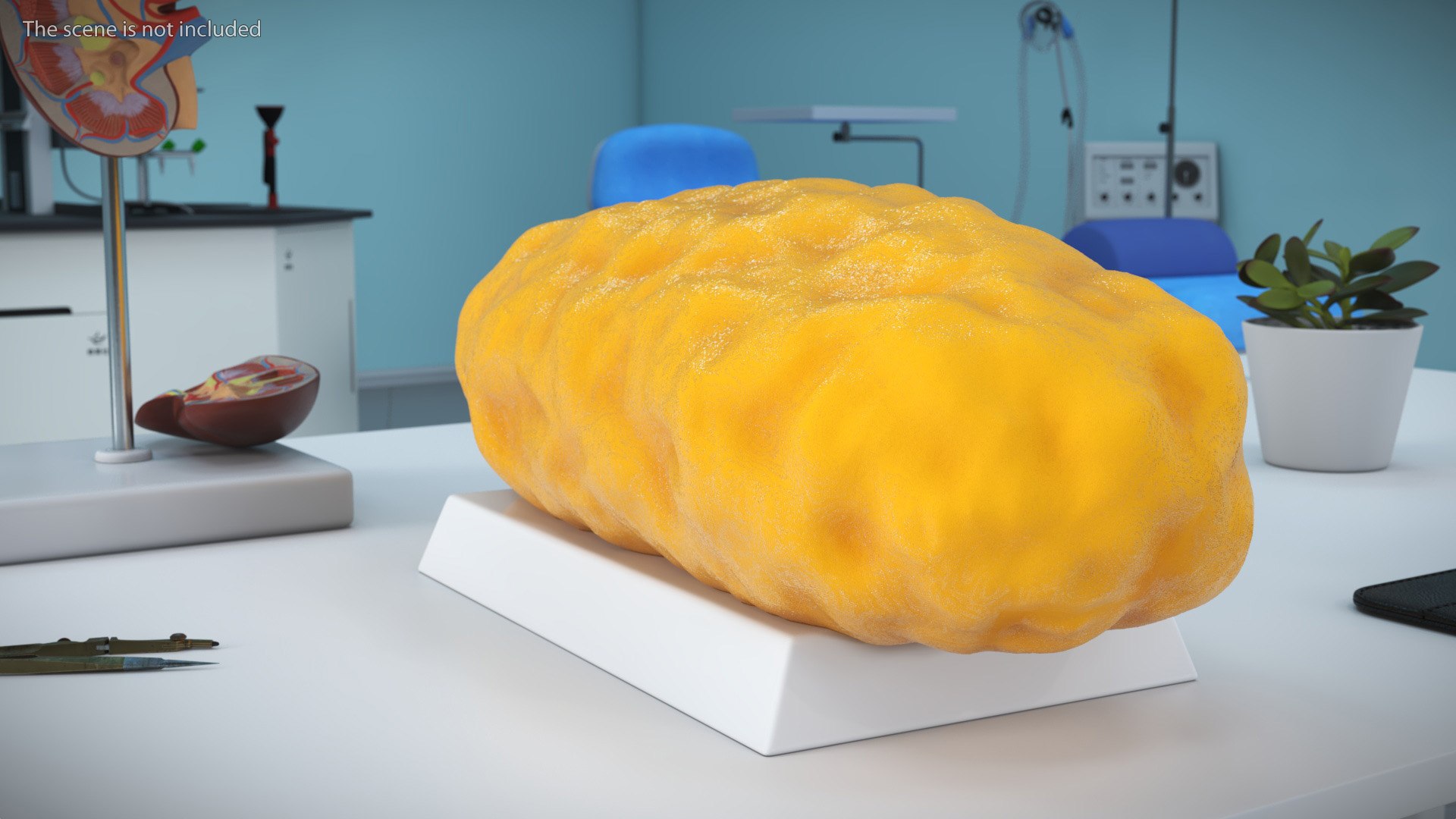 Human Body Fat Mass Model On Base 3D Model - TurboSquid 2412655