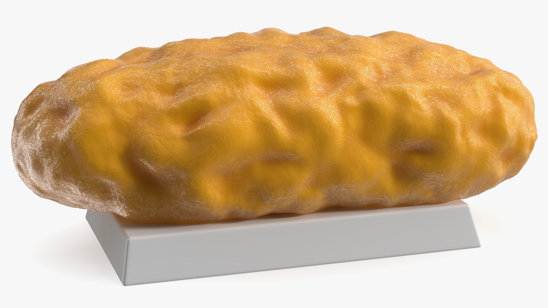 Human Body Fat Mass Model On Base 3D Model - TurboSquid 2412655