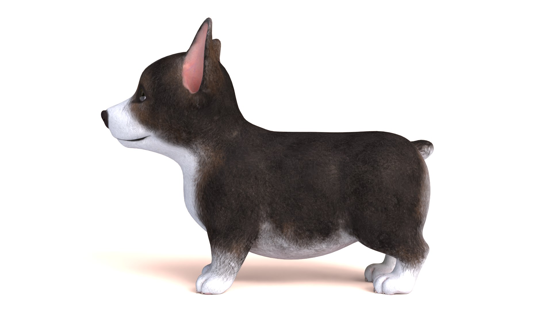 3D Pembroke Welsh Corgi Dog - TurboSquid 2214699