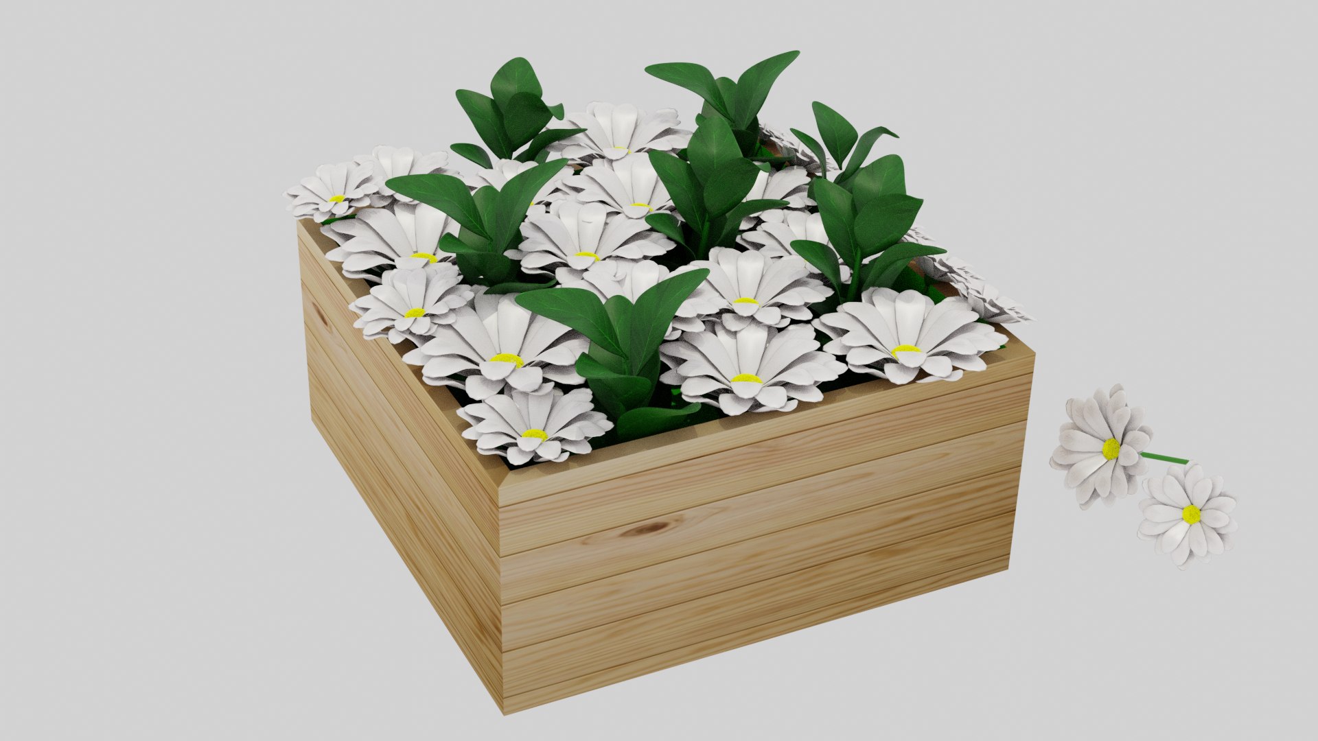 Daisy Flowers 3D Model - TurboSquid 1729642