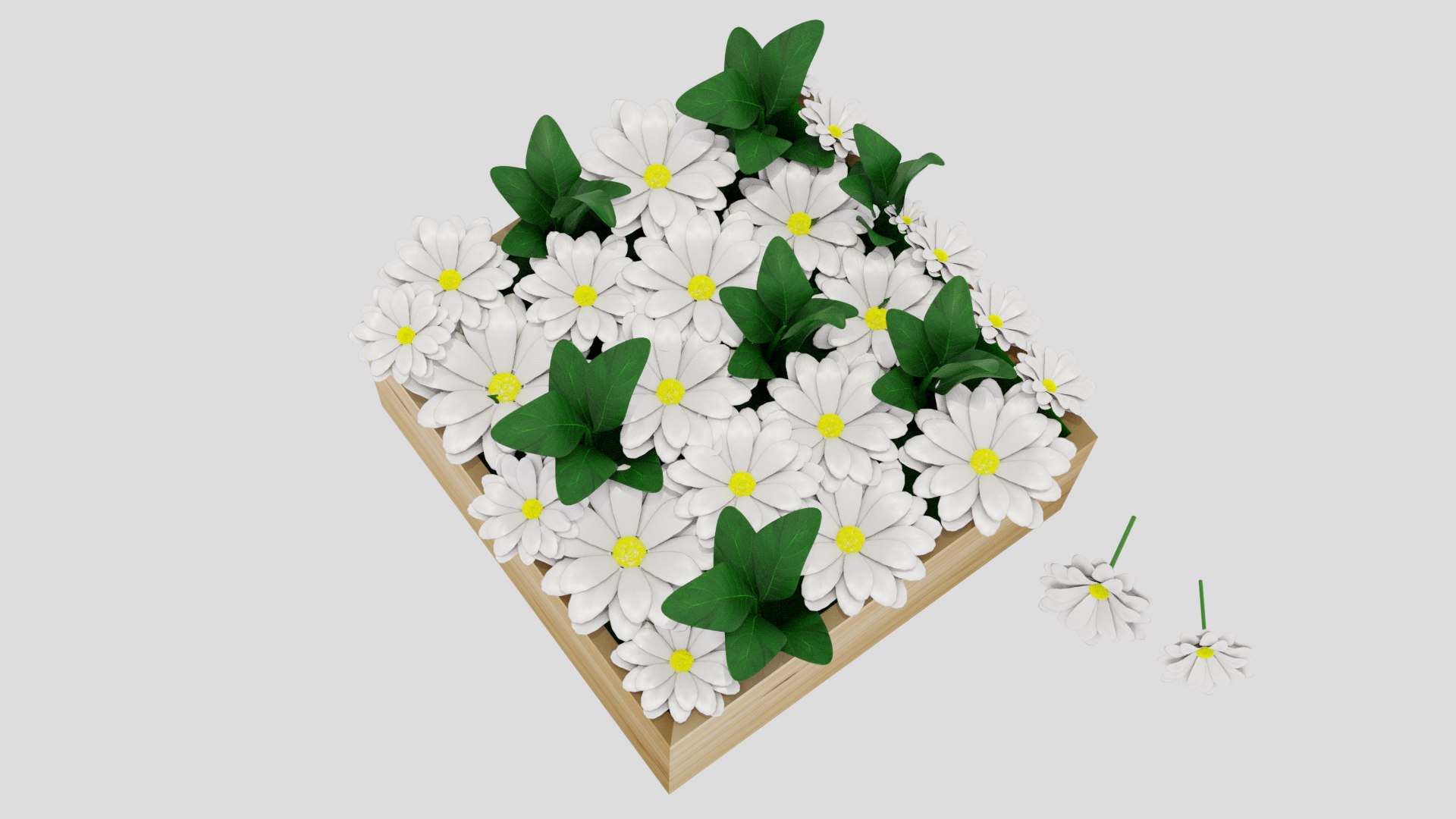 Daisy Flowers 3D Model - TurboSquid 1729642