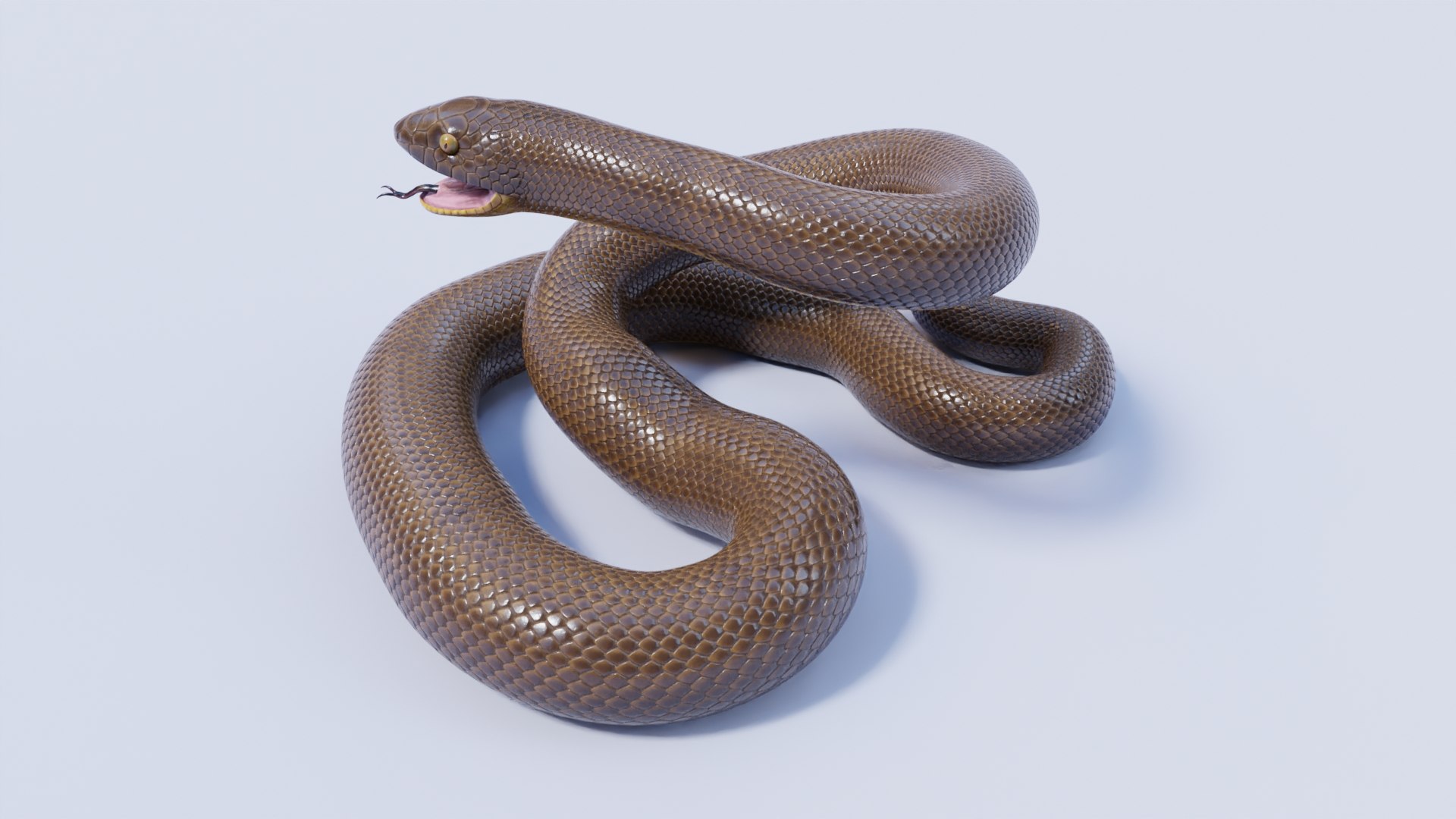 3D Rubber Boa - Static Poses - TurboSquid 2020574