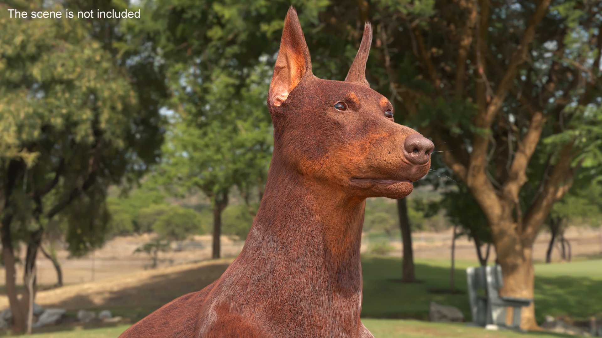 Doberman Dog Brown Lying Down Fur 3D Model - TurboSquid 2232776