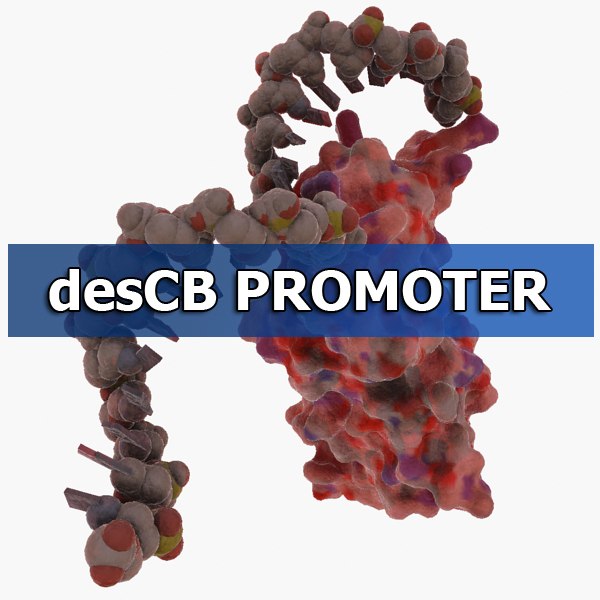modelo 3d Promotor desCB - TurboSquid 610621