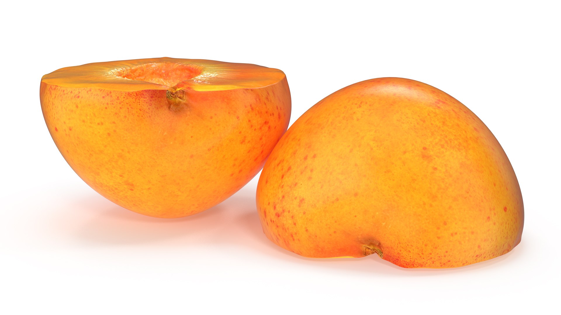 3D Model Half Apricot With Fruit Core - TurboSquid 2059265