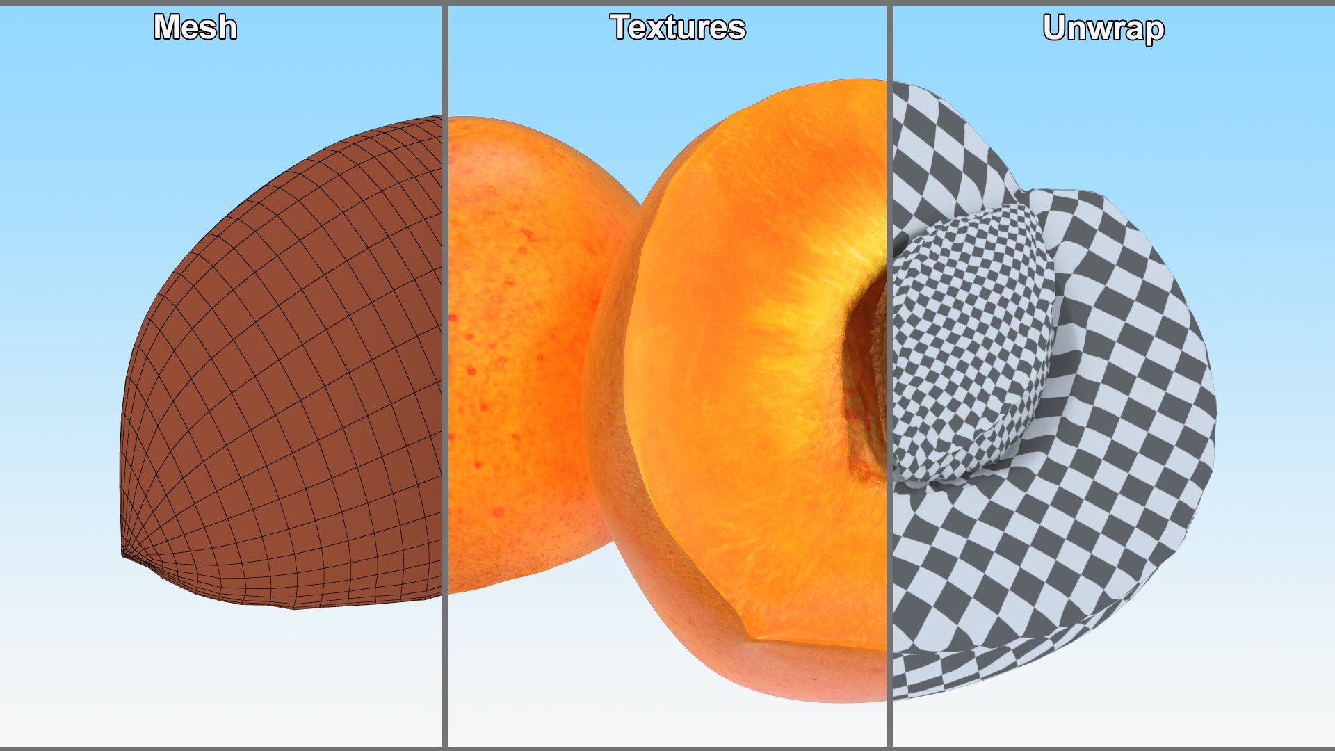 3D Model Half Apricot With Fruit Core - TurboSquid 2059265
