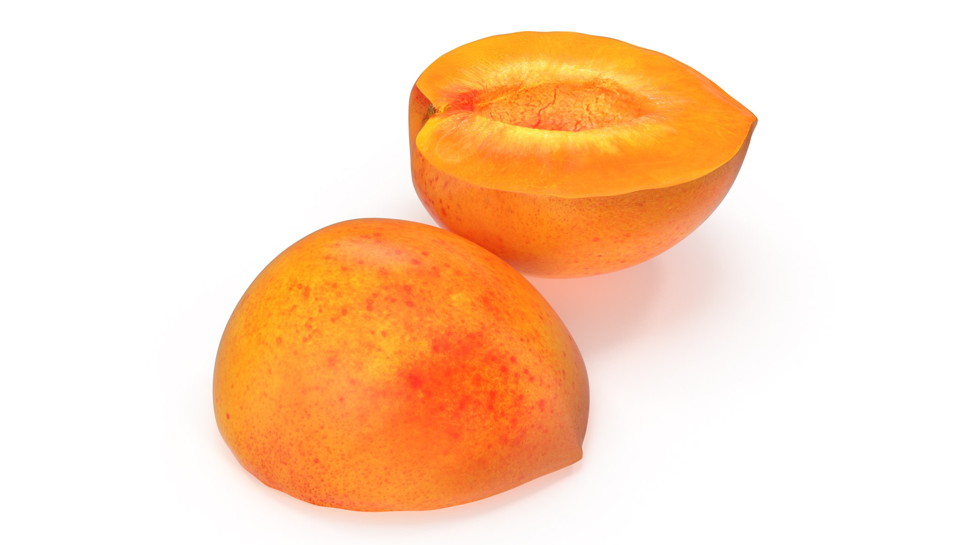 3D Model Half Apricot With Fruit Core - TurboSquid 2059265