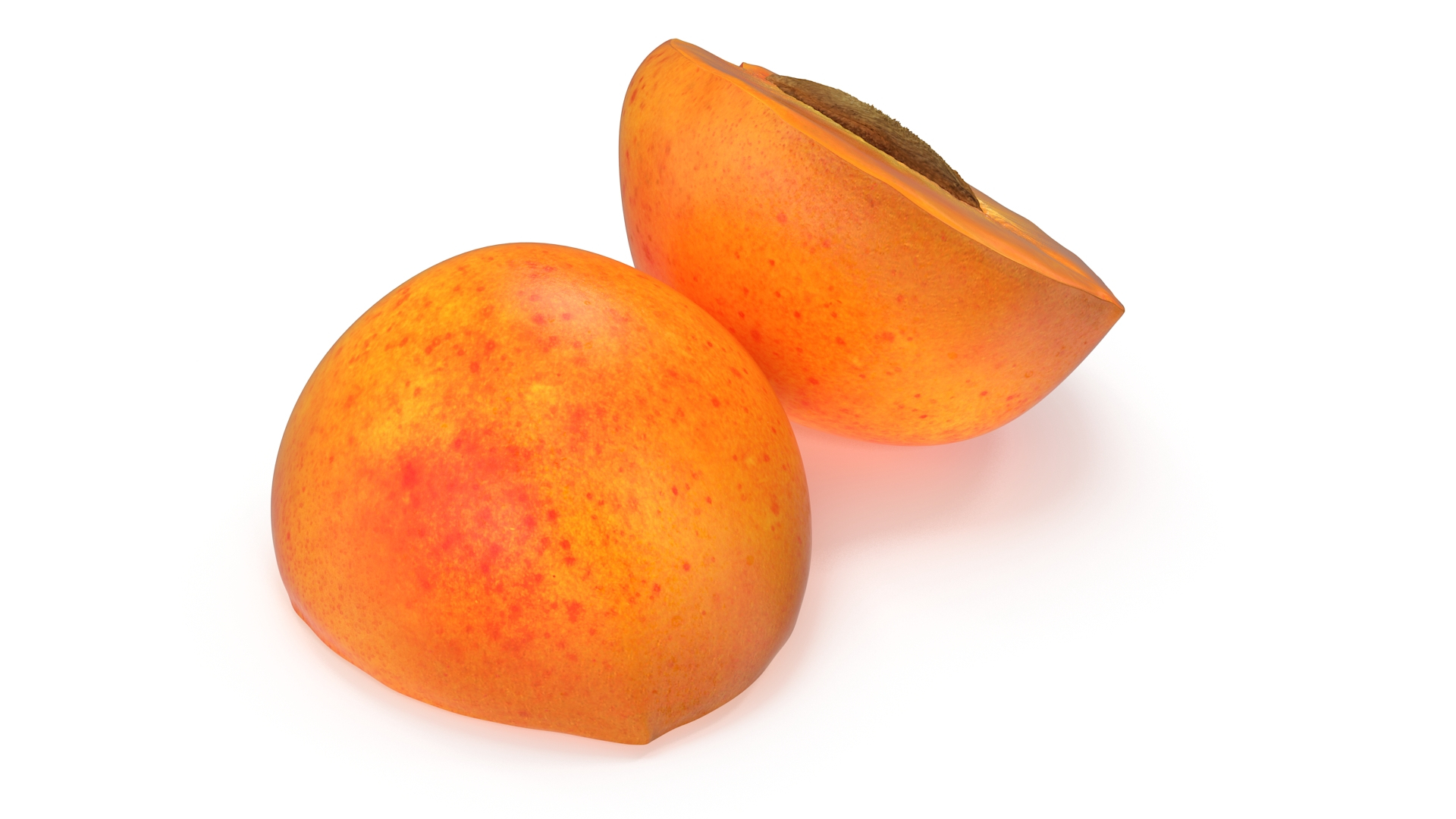 3D Model Half Apricot With Fruit Core - TurboSquid 2059265