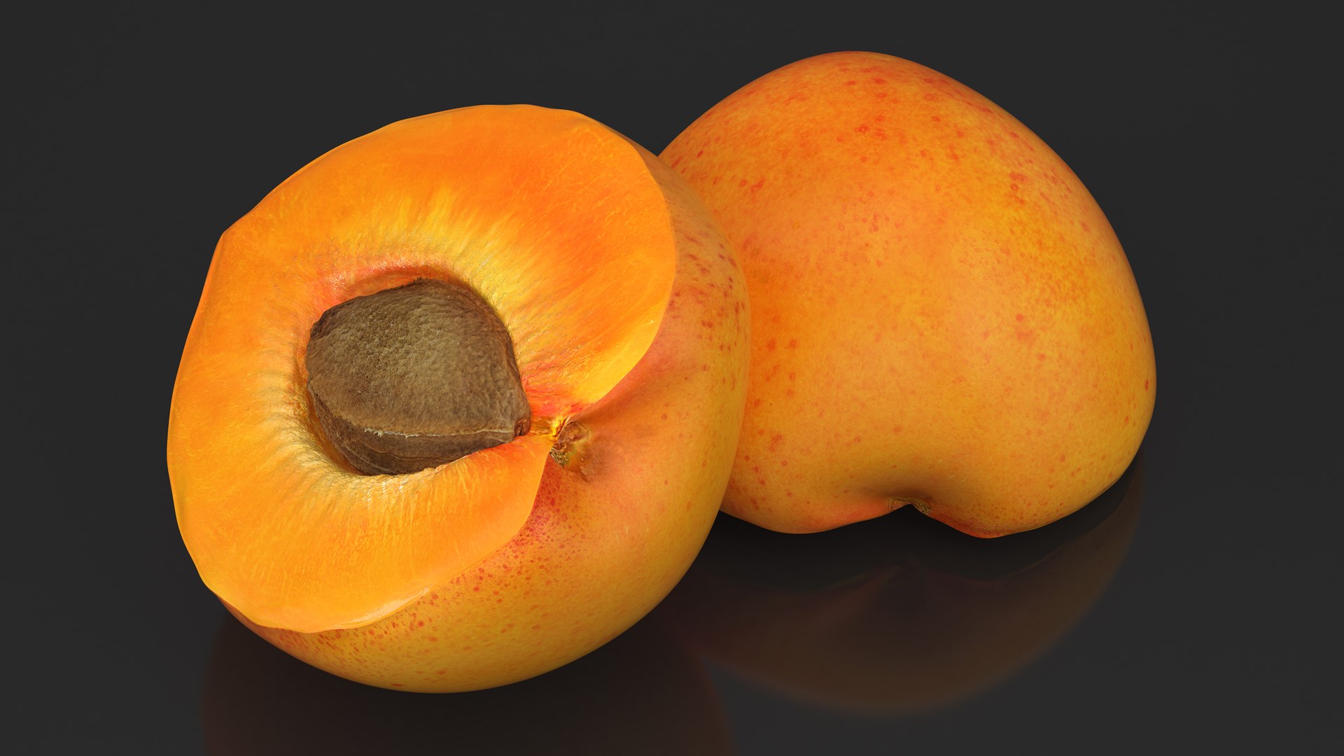 3D Model Half Apricot With Fruit Core - TurboSquid 2059265