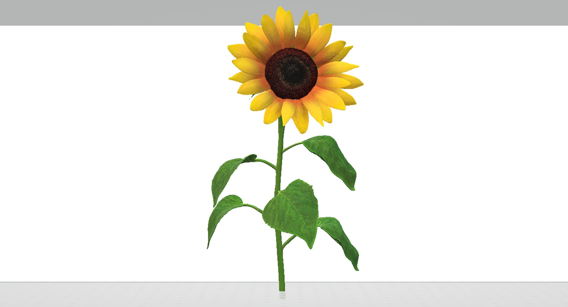 Sunflowers 3D Model - TurboSquid 1242550
