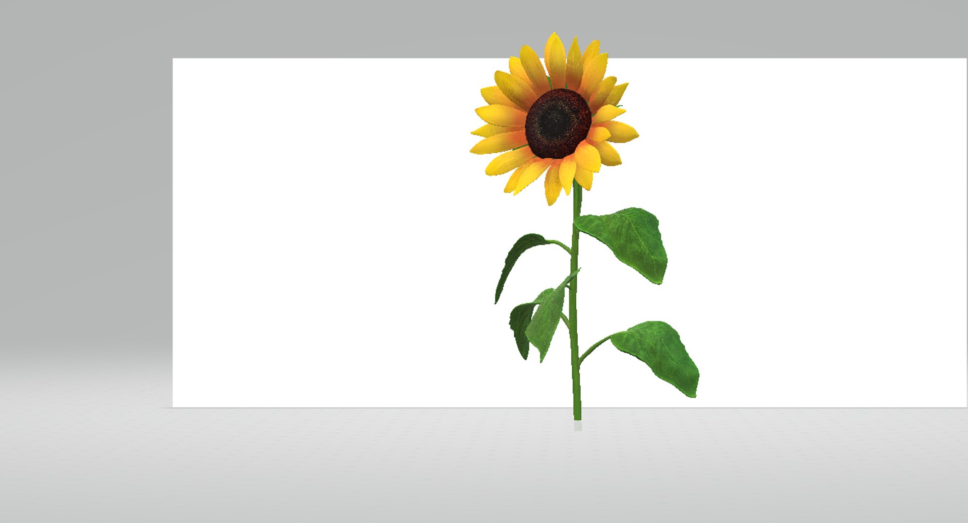 Sunflowers 3D Model - TurboSquid 1242550