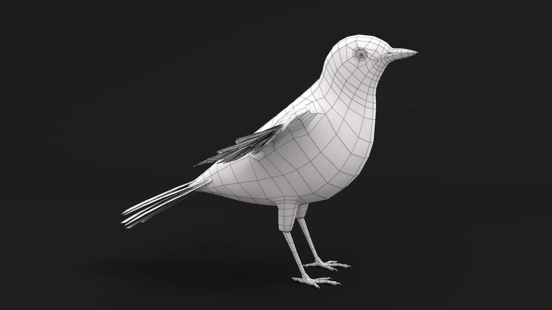 3D Bluebird Polys Model - TurboSquid 1575133
