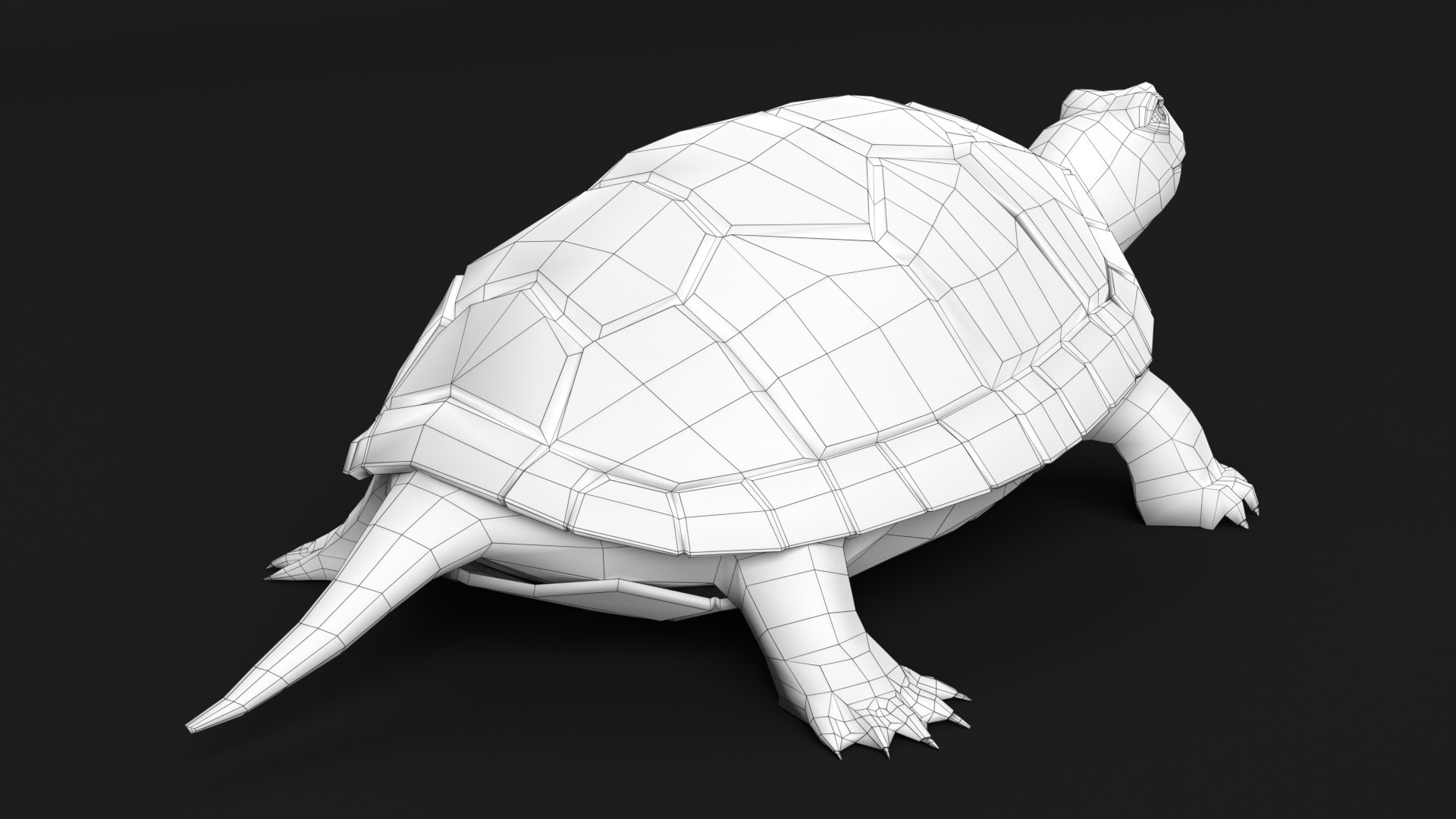 Box Turtle 3D - TurboSquid 2121217